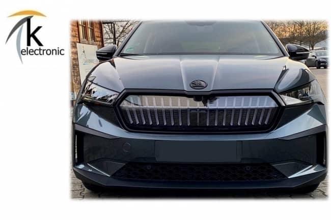 Skoda grille store